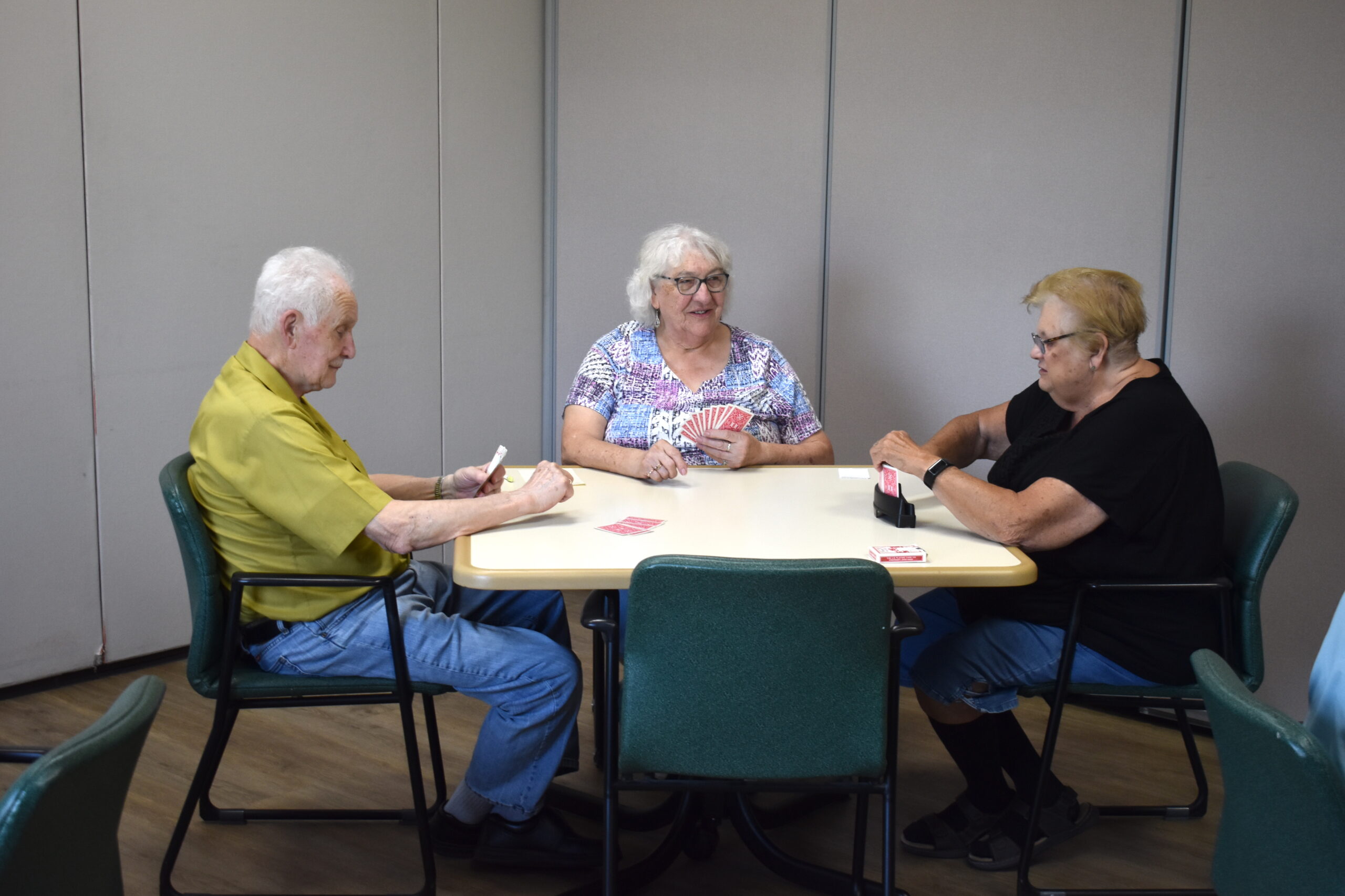 CAST seeks to improve lives of seniors | News, Sports, Jobs - The Journal